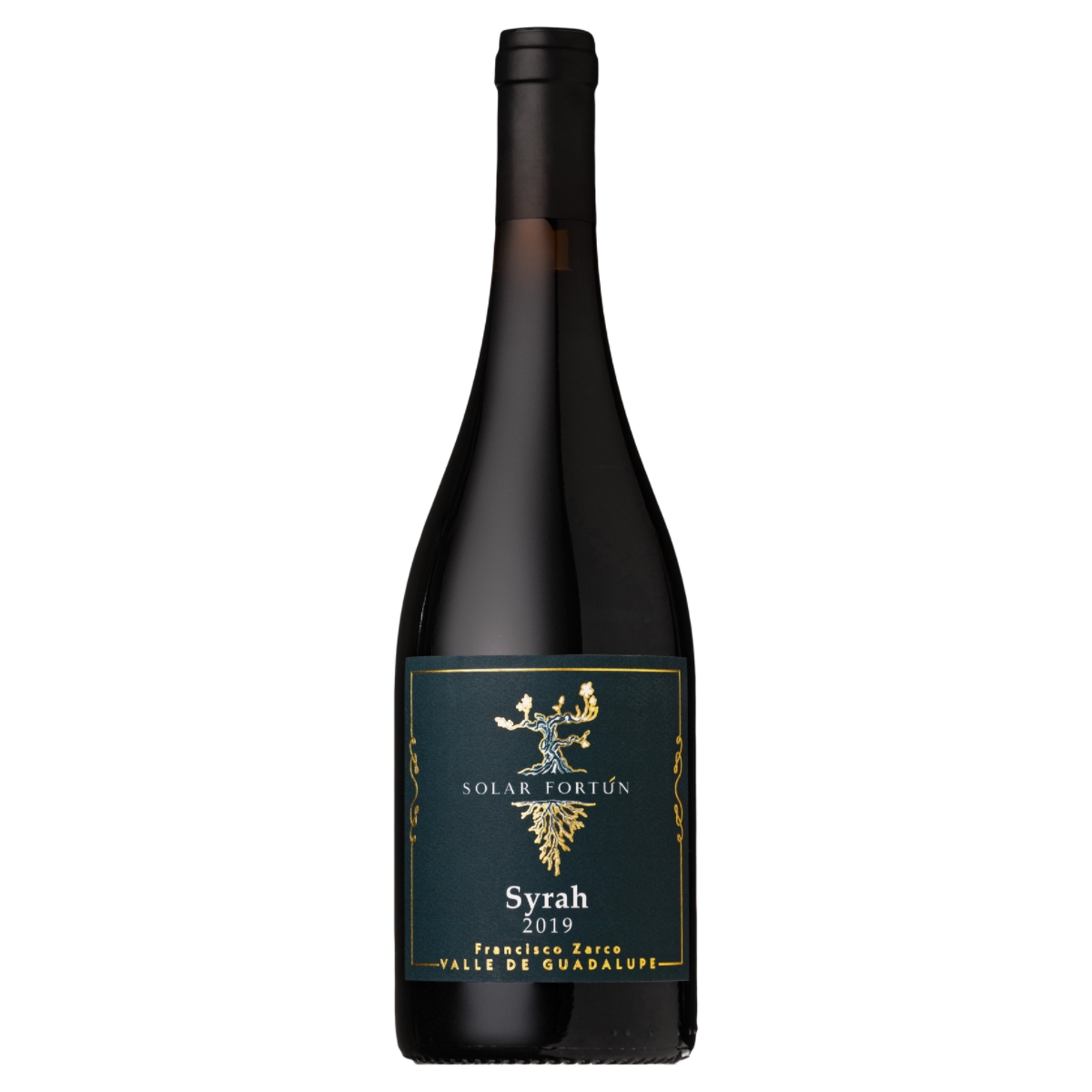 Syrah 2021 – Solar Fortún – Enoloxica Wine Boutique | Vinos Mexicanos